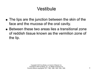 Nomenclature: Oral cavity | PPTX