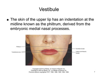Nomenclature: Oral cavity | PPTX