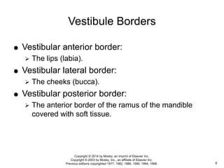 Nomenclature: Oral cavity | PPT