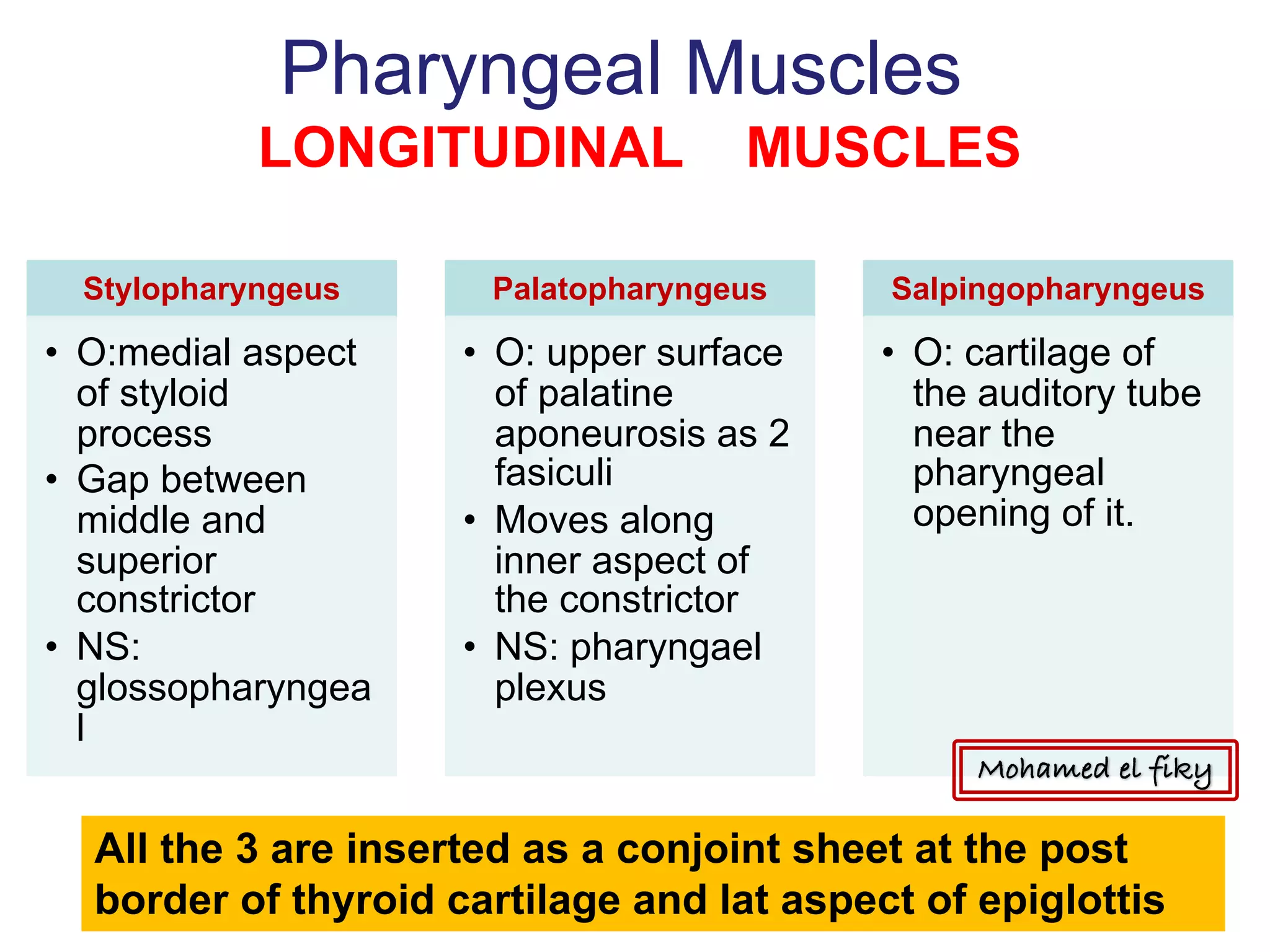 Oral cavity palate - pharynx | PDF