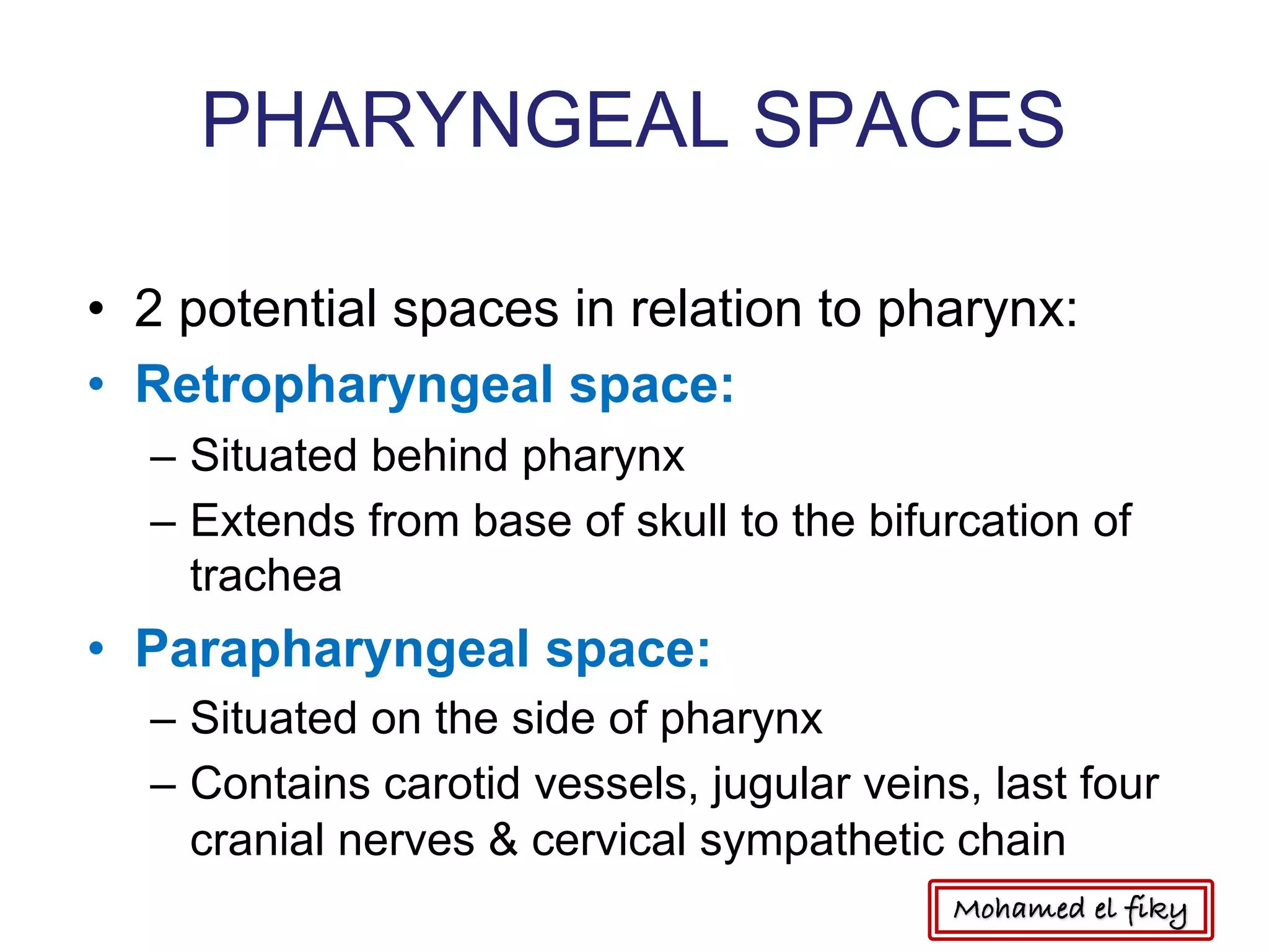 Oral cavity palate - pharynx | PDF
