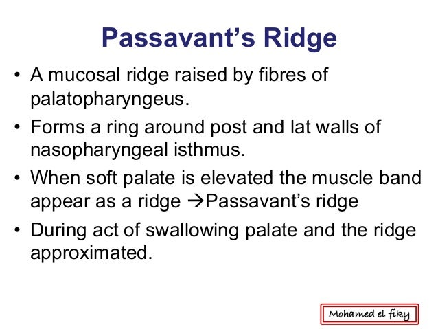 Oral cavity palate - pharynx