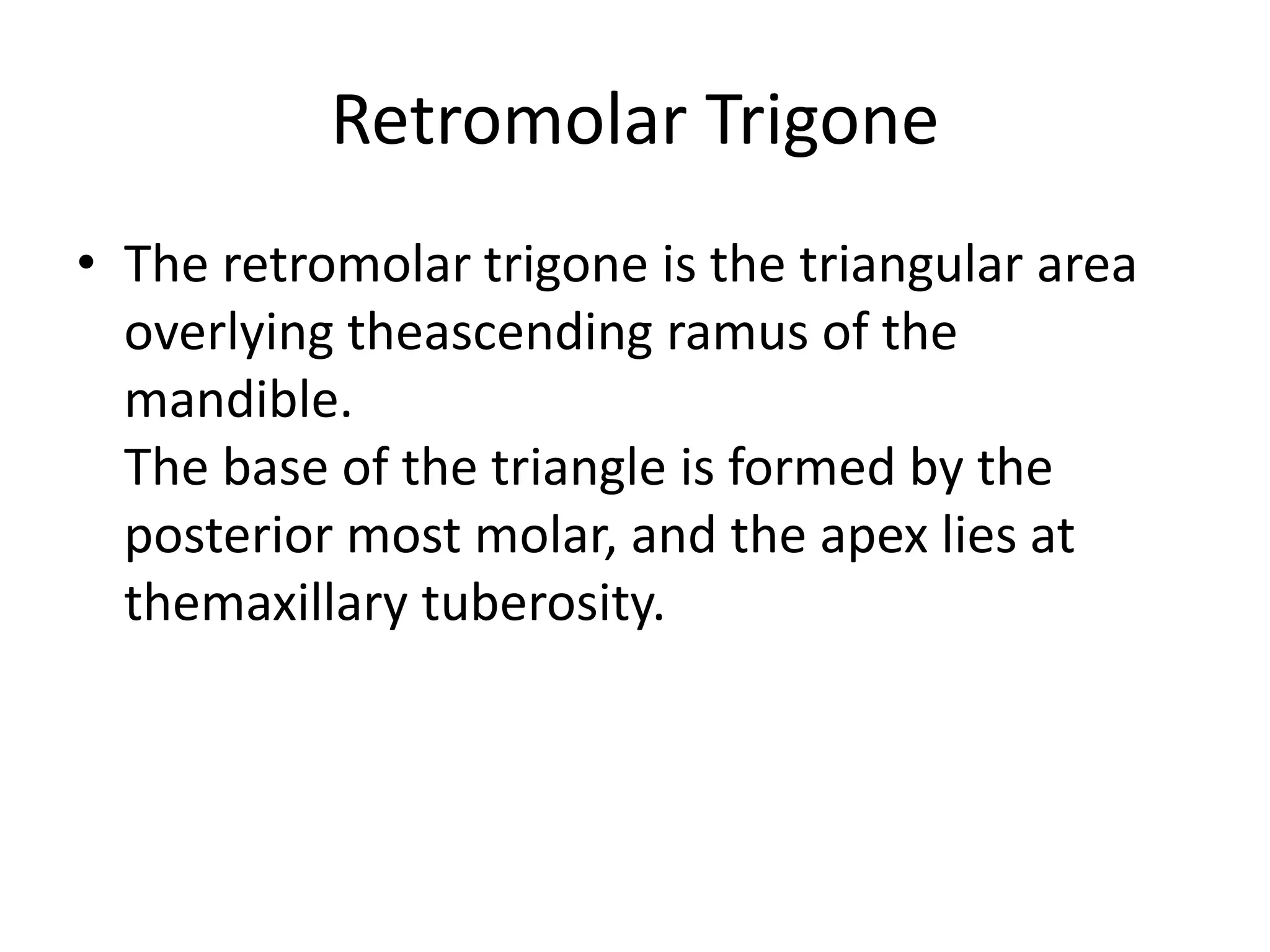 Oral cavity anatomy | PPTX