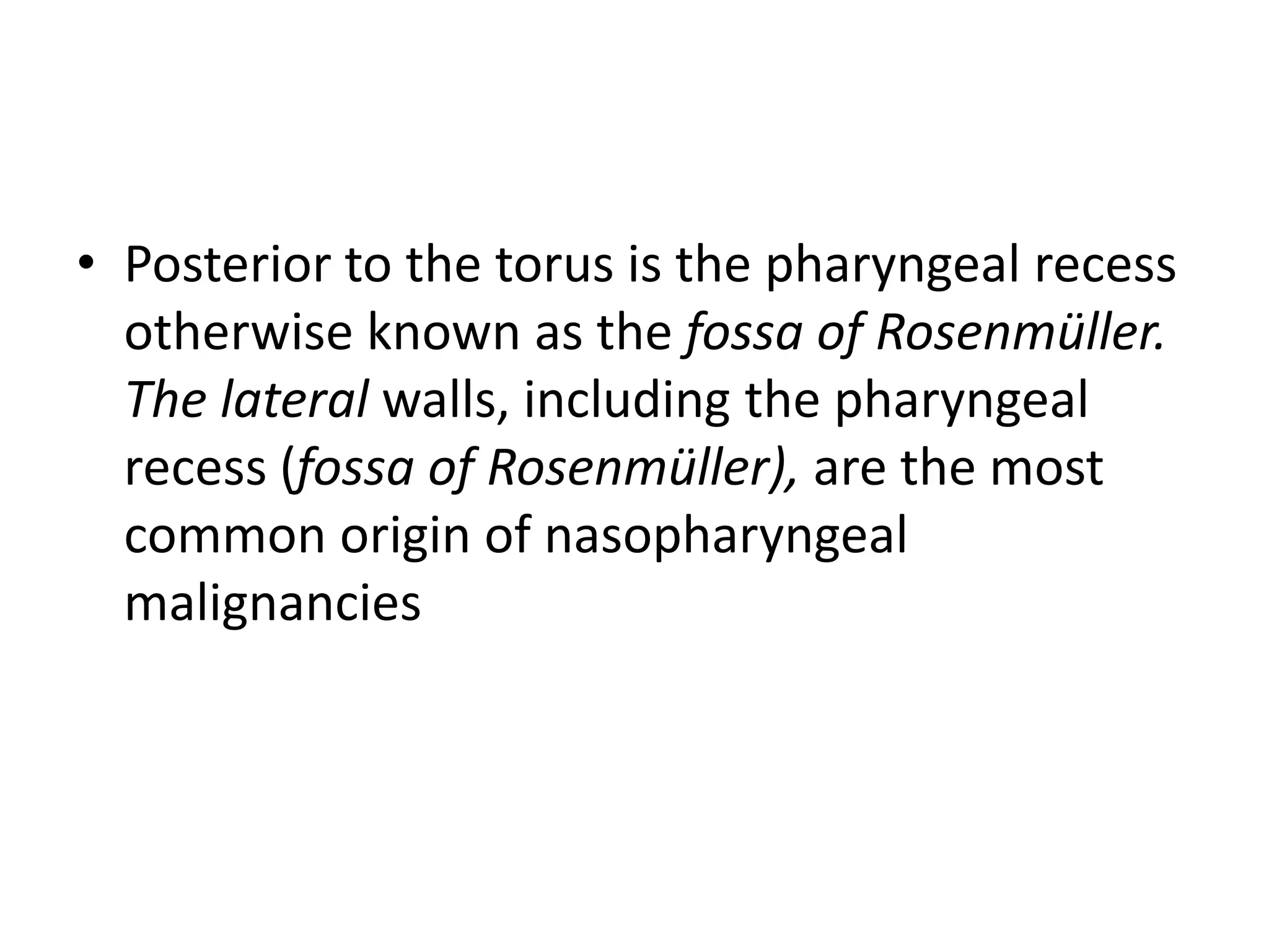 Oral cavity anatomy | PPTX