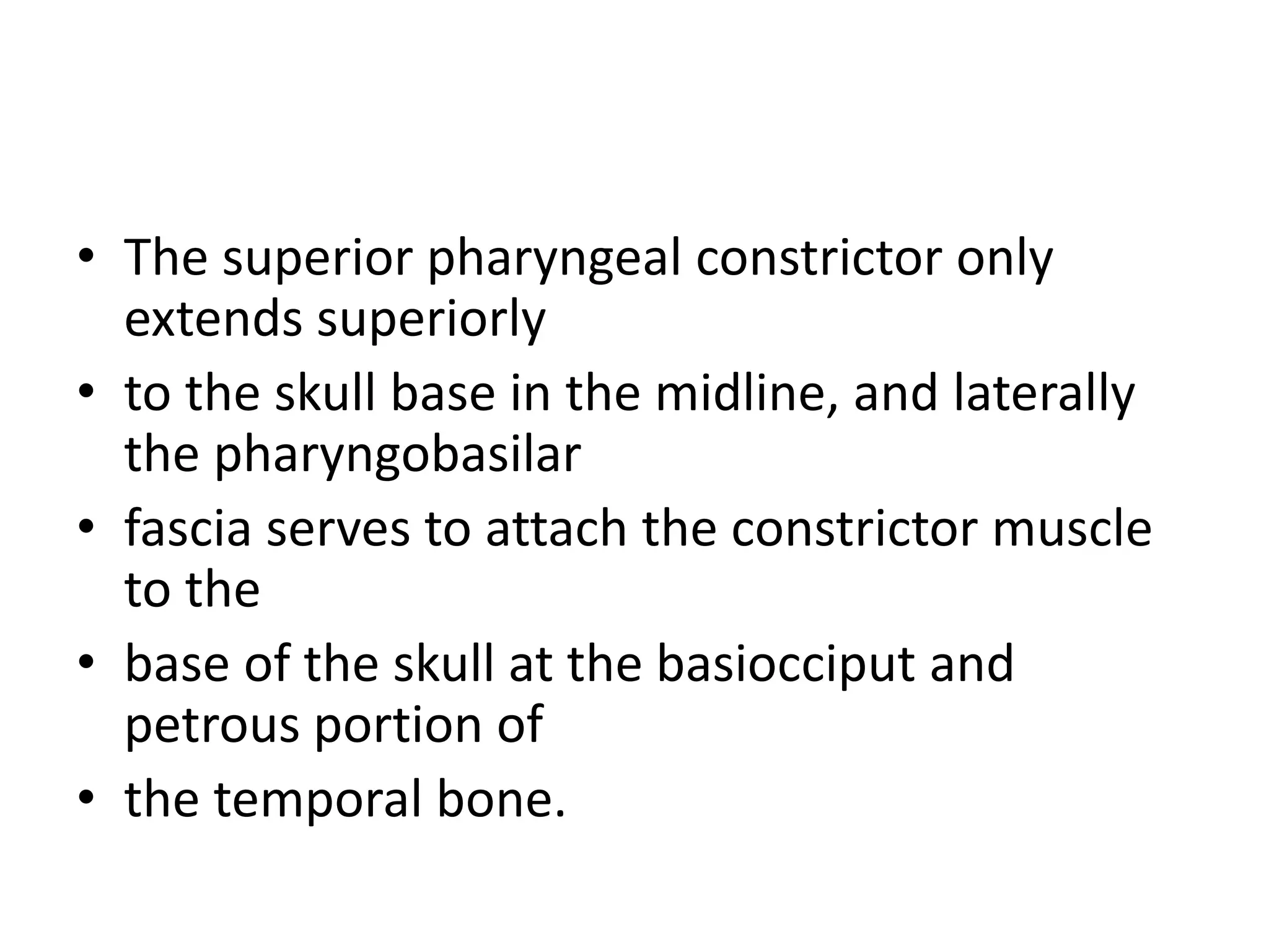 Oral cavity anatomy | PPTX