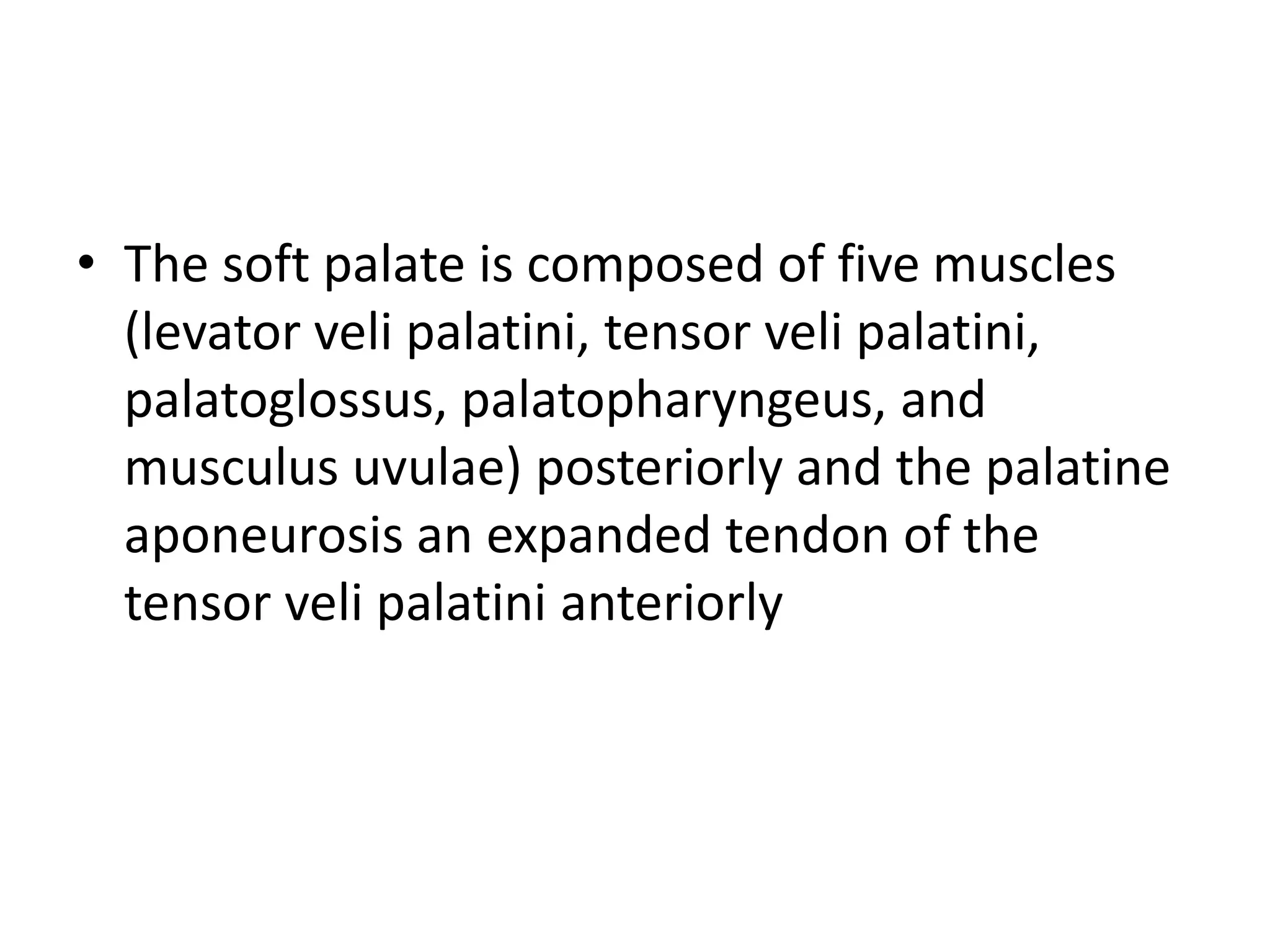 Oral cavity anatomy | PPTX