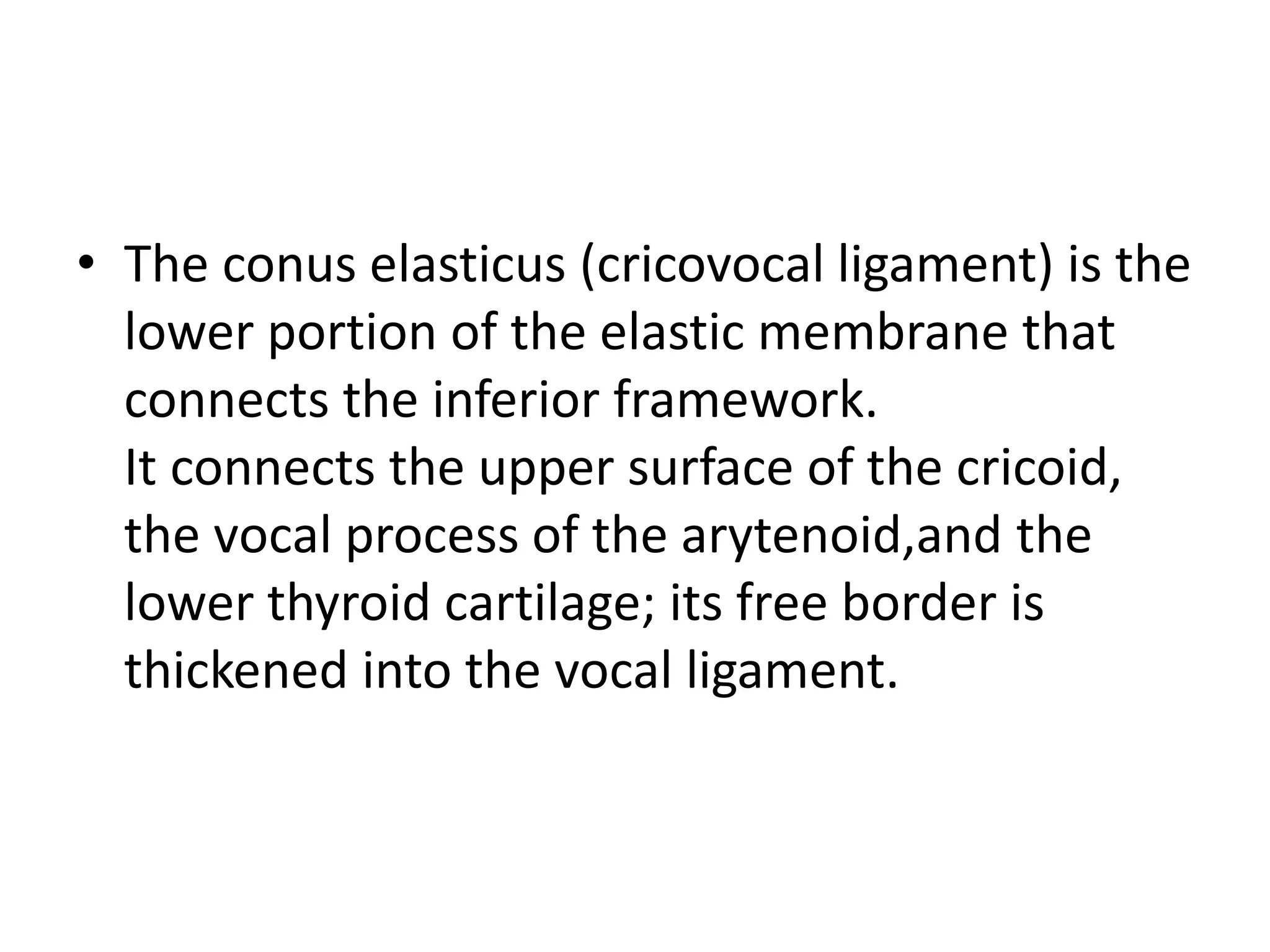 Oral cavity anatomy | PPTX