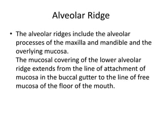 Oral cavity anatomy | PPTX