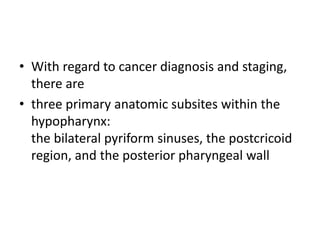 Oral cavity anatomy | PPTX