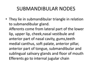 Oral cavity anatomy | PPTX