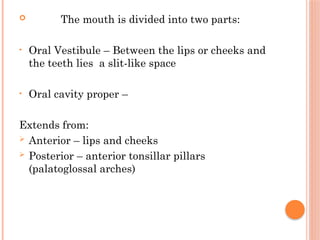 ORAL CAVITY ANATOMY.pptx anatomy of oral | PPTX