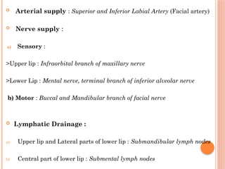 ORAL CAVITY ANATOMY.pptx anatomy of oral | PPTX
