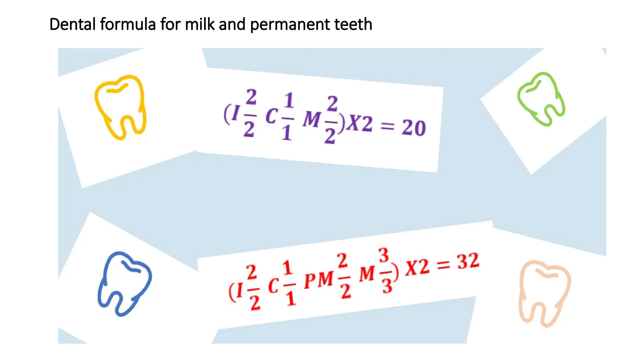 ORAL CAVITY ANATOMY UPDATED.pptx123456678 | PPT