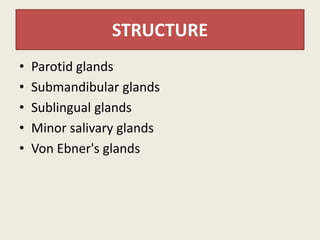 Oral cavity and salivary glands | PPTX