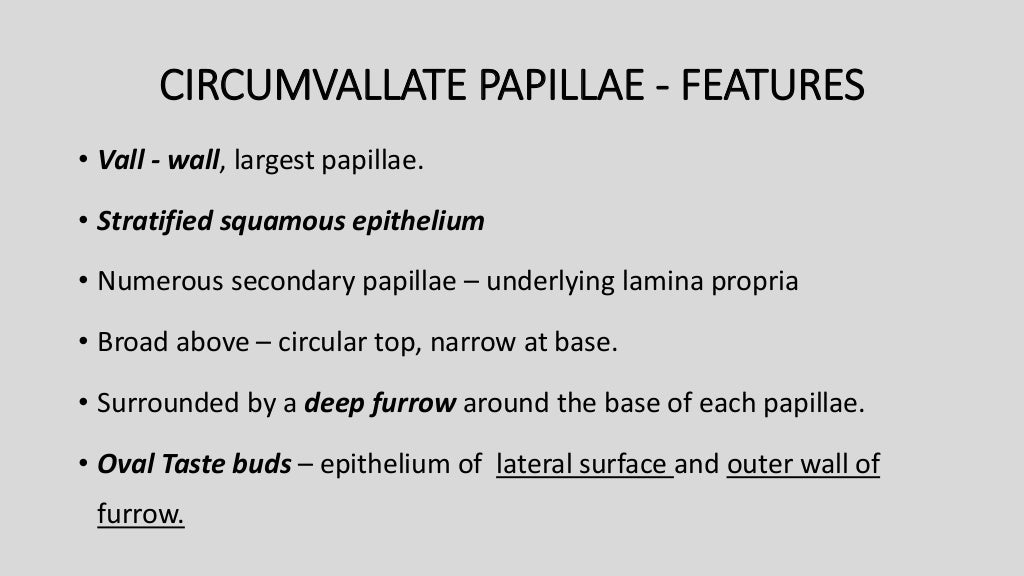 Oral cavity and salivary glands.pptx
