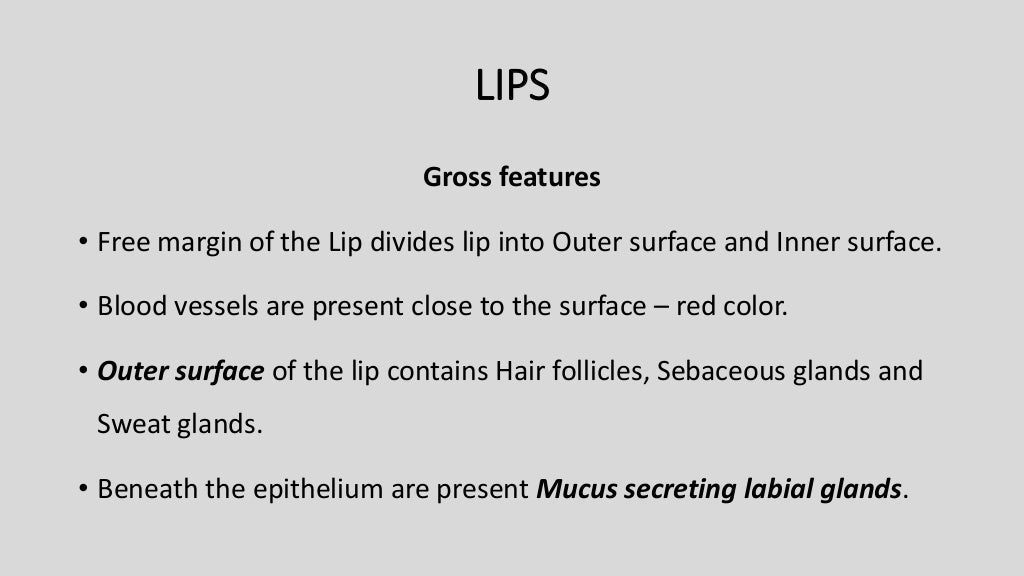 Oral cavity and salivary glands.pptx