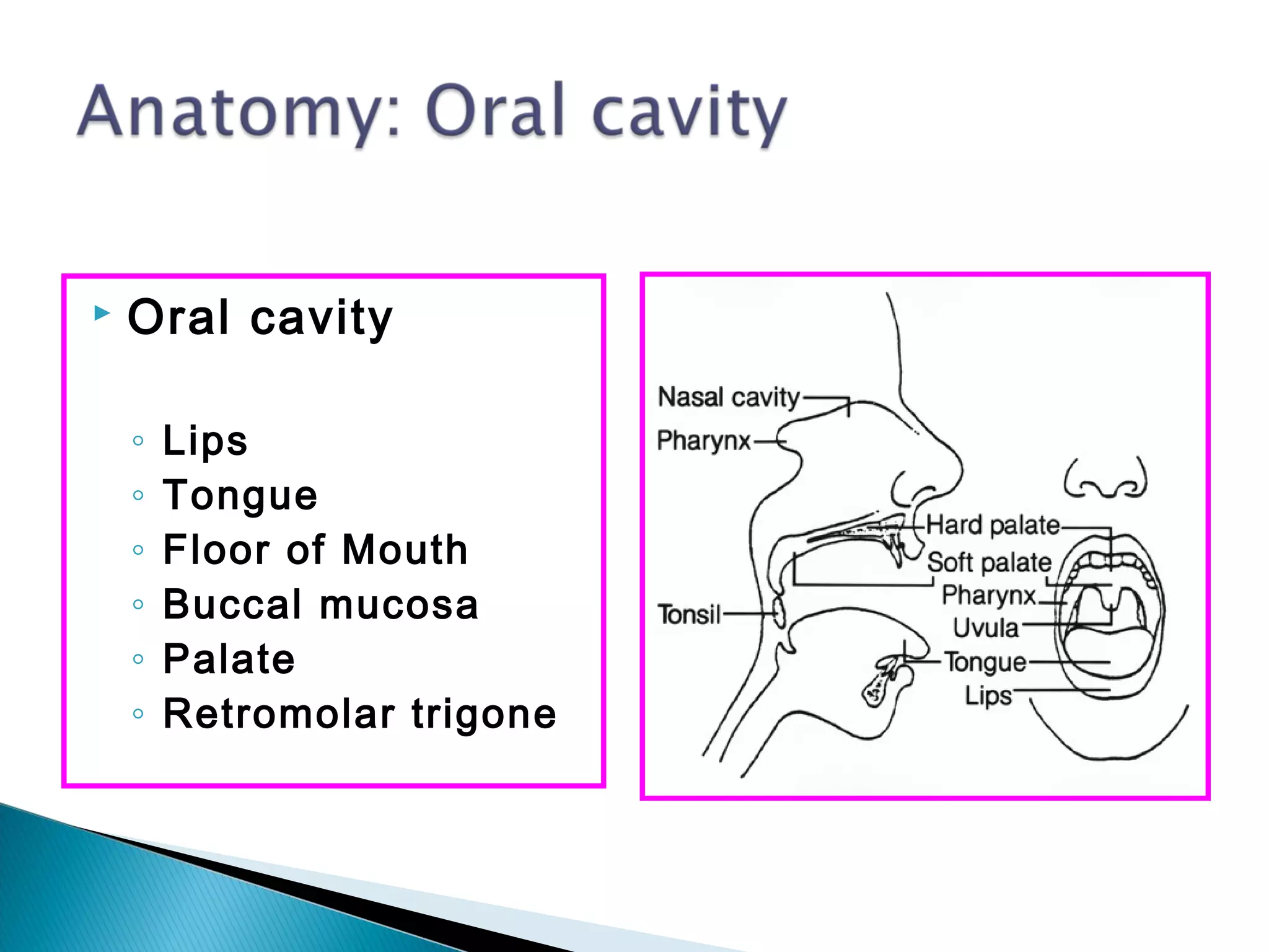 Common Benign Oral cavity disorders by. Dr.vijay kumar | PPT