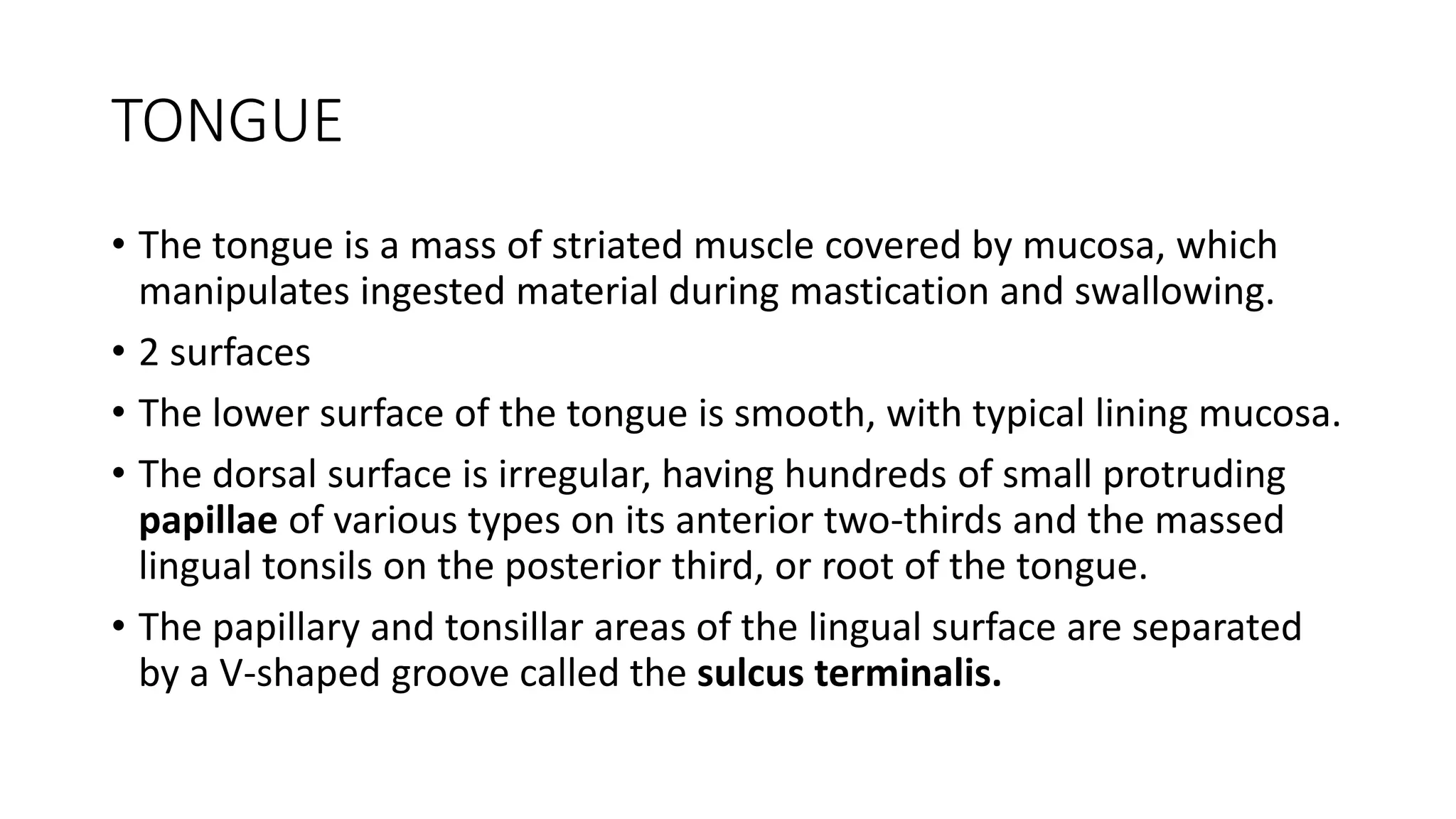 Oral cavity Histology | PPTX