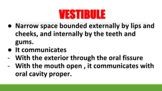 Oral cavity malignancy.pptx