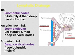 Oral cavity, pharynx | PPTX