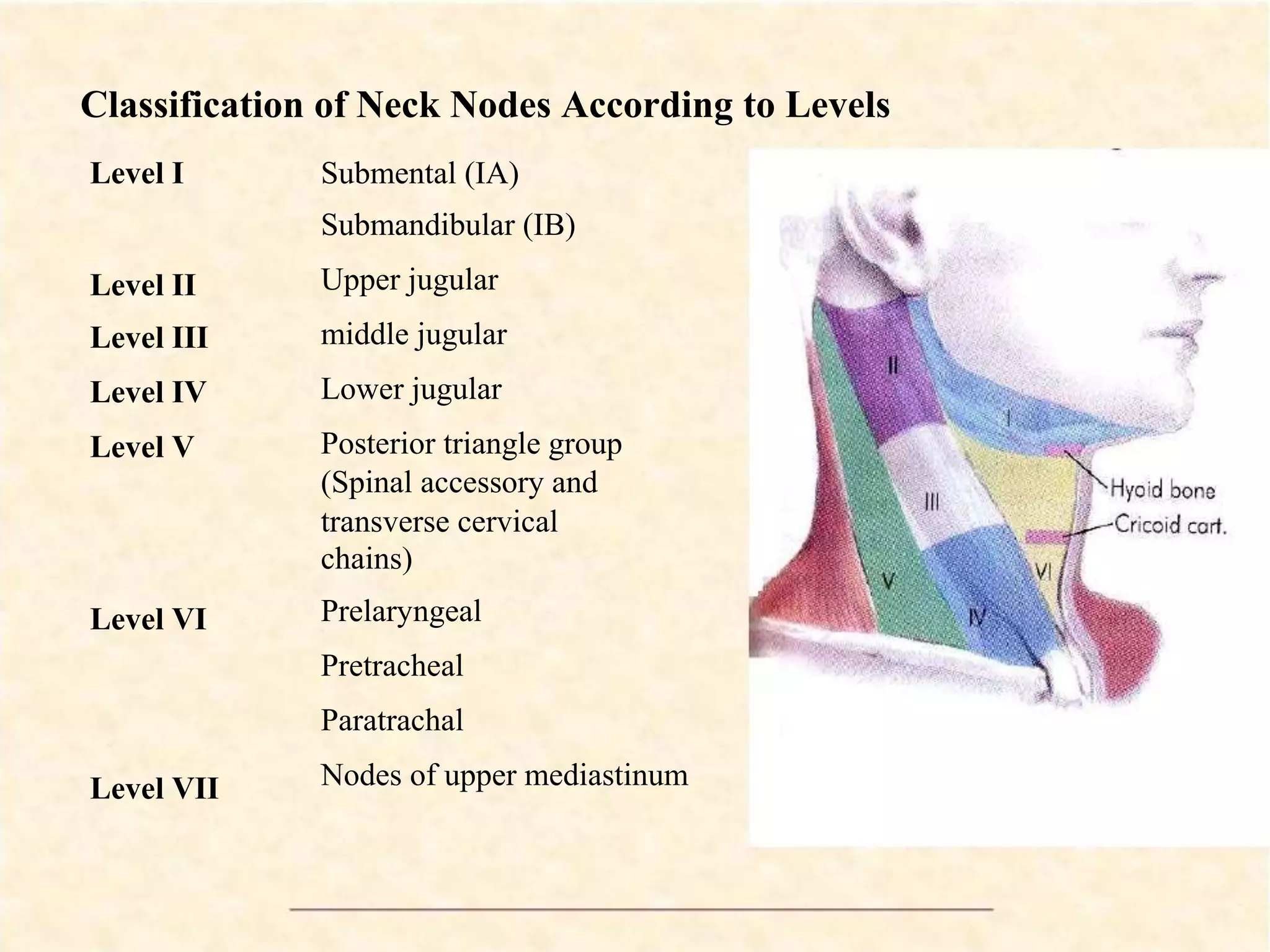 Oral cavity, pharynx radio-anatomy | PPTX