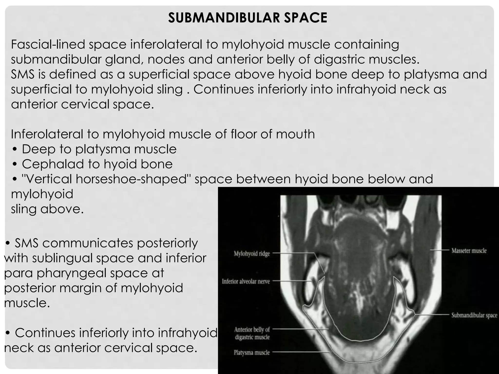 Oral cavity, pharynx radio-anatomy | PPTX