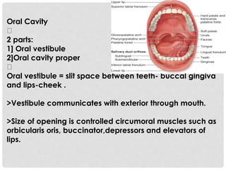 Oral cavity, pharynx radio-anatomy | PPTX