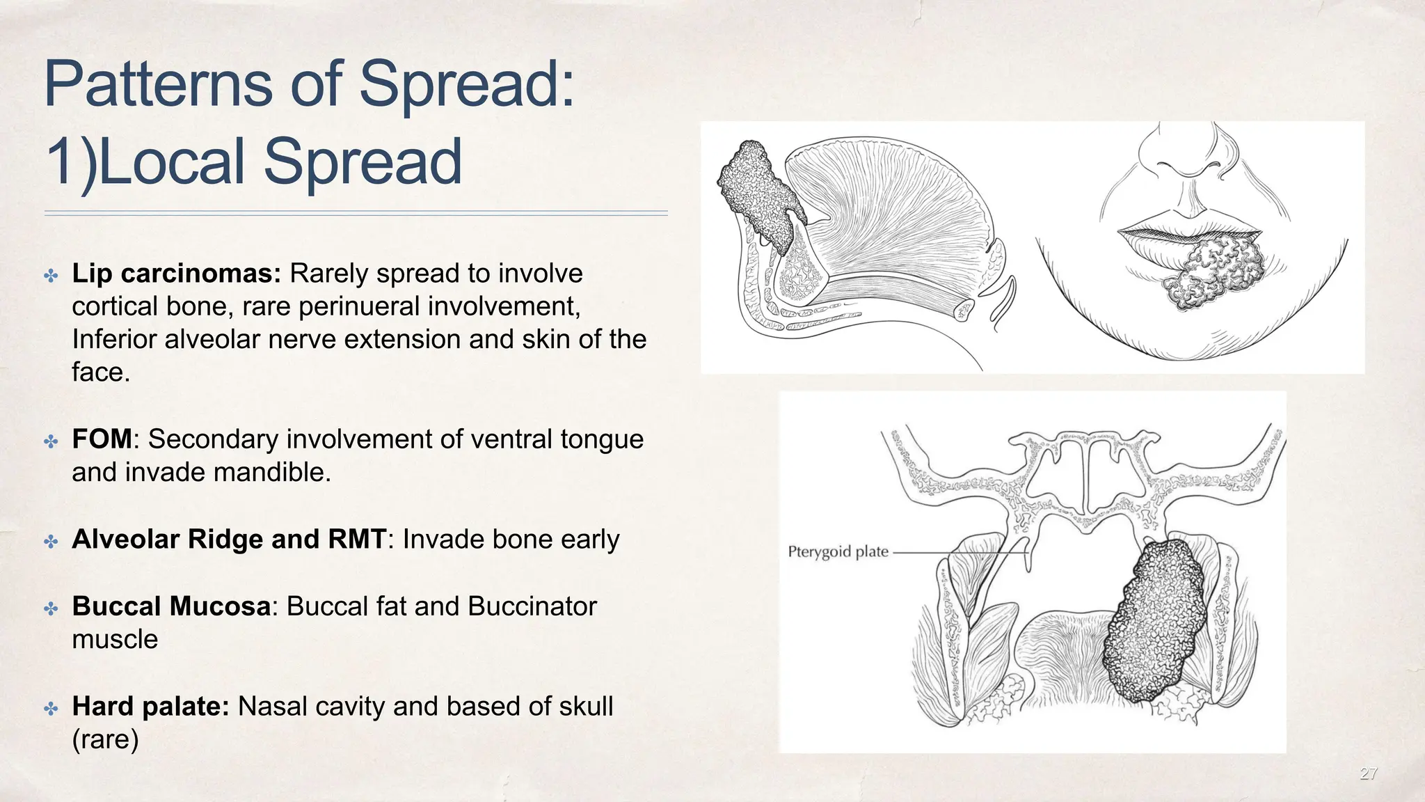 oral cavity radiology.pptx radiation oncology | PPTX