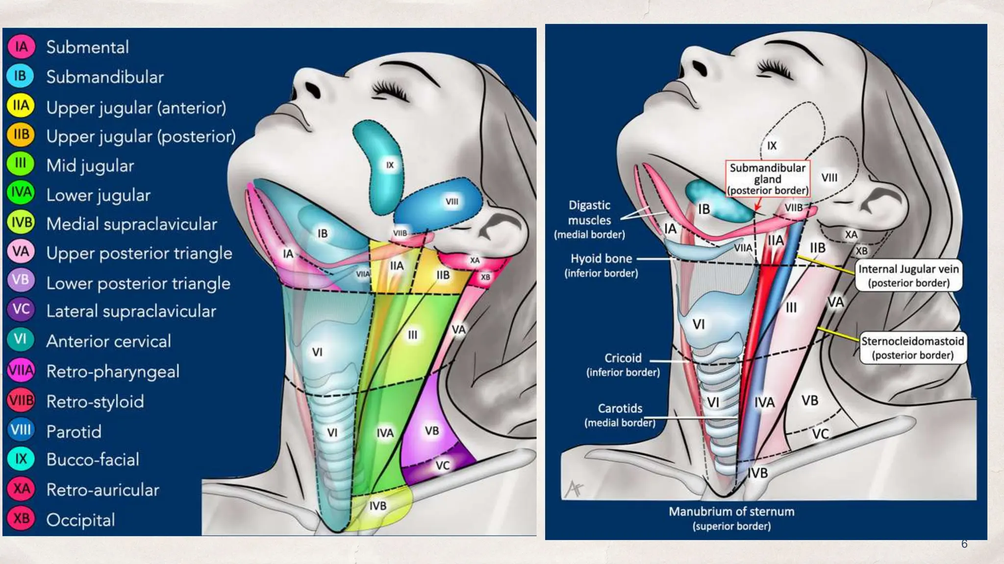 oral cavity radiology.pptx radiation oncology | PPTX