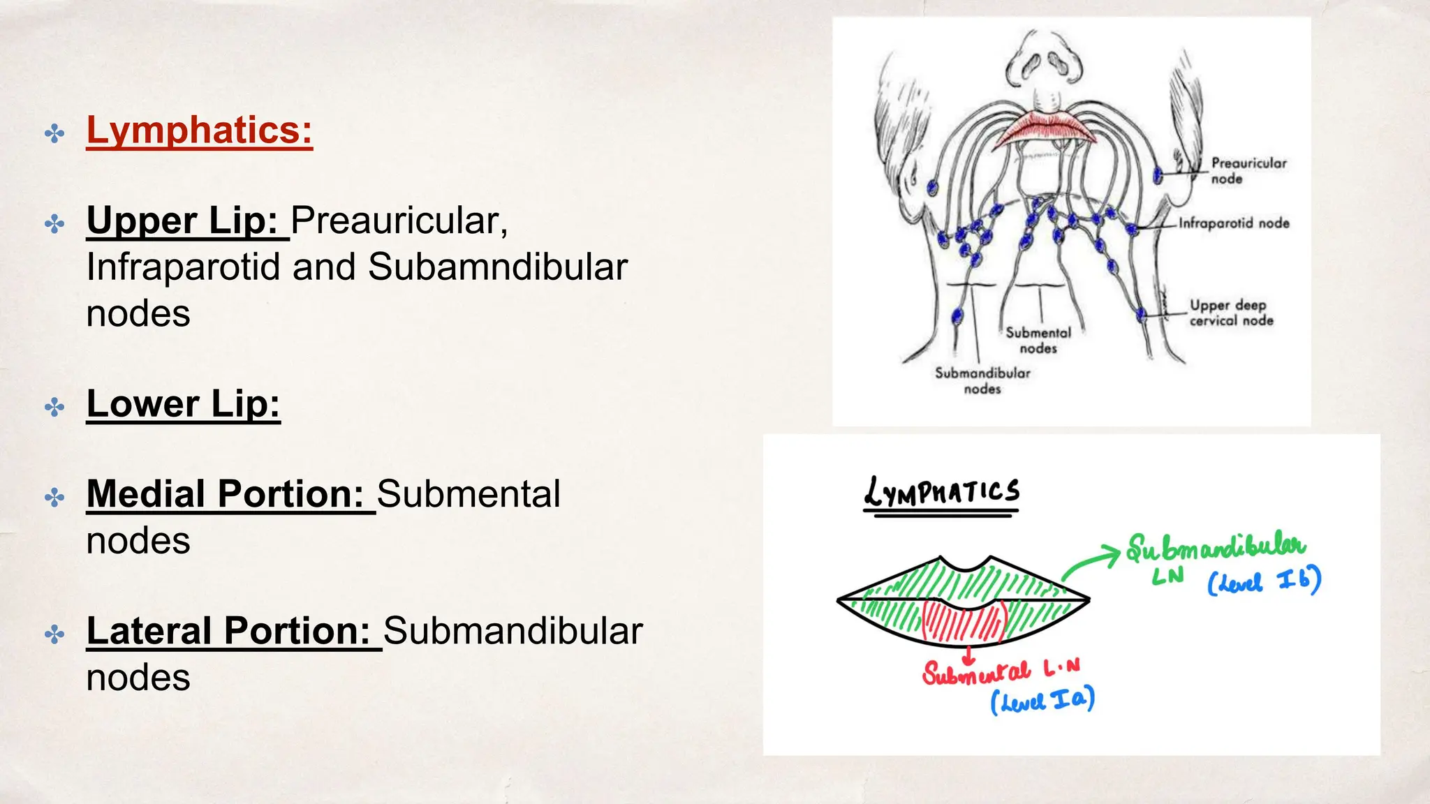 oral cavity radiology.pptx radiation oncology | PPTX