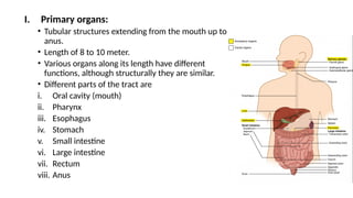 Human anatomy of Oral Cavity, Salivary Gland.pptx