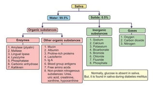 ORAL CAVITY, SALIVA, SALIVARY GLANDS, NERVE SUPPLY, PHARYNX & ESOPHAGUS ...