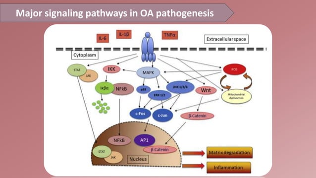 ORAL CC Anglais.pptx