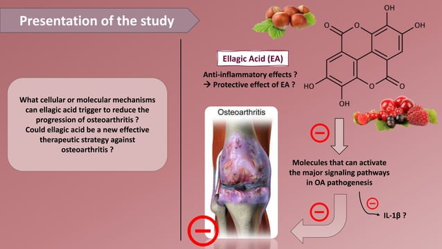 ORAL CC Anglais.pptx