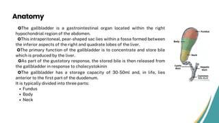 Oral Cholangiography procedure done in radiology department | PDF