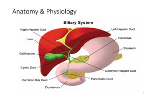 TOPIC MEDICAL IMAGING ORAL CHOLECYSTOGRAPHY.ppt