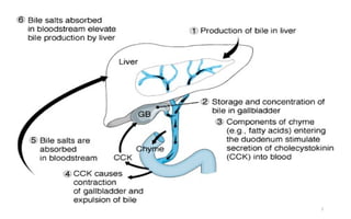 TOPIC MEDICAL IMAGING ORAL CHOLECYSTOGRAPHY.ppt
