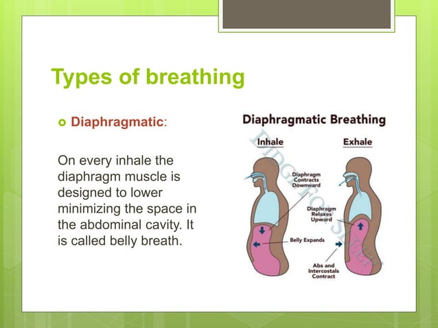 Oral communication- Oscar Gil | PPT
