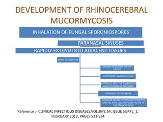 Oral considiration of mucormycosis | PPT