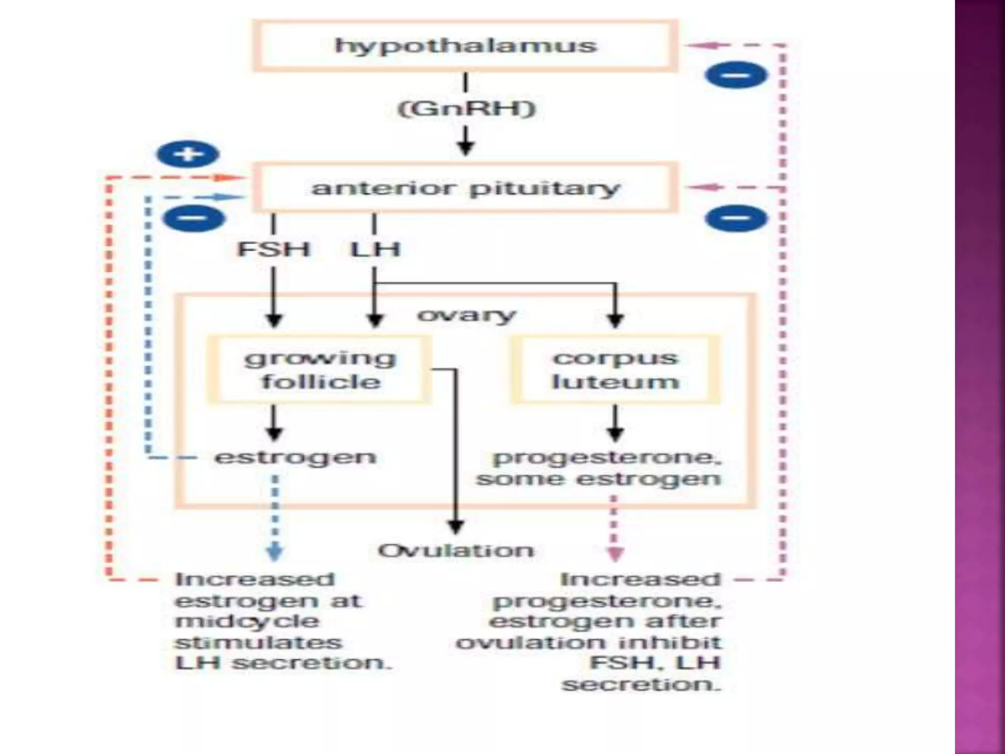 Oral contraceptives | PPT