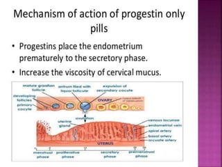 Oral contraceptives | PPT