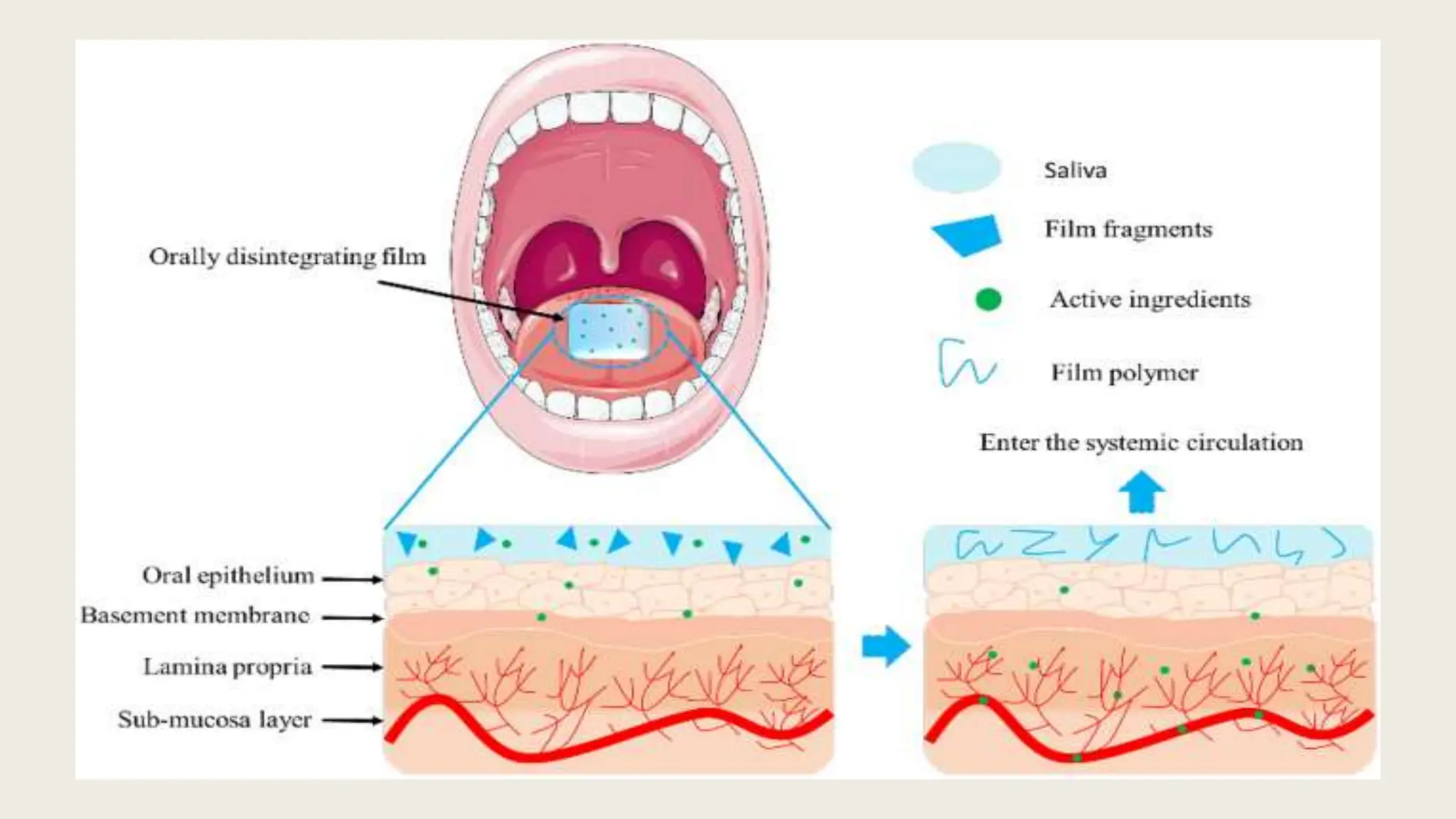 ORAL DISINTEGRATING FILM - ODF | PPSX