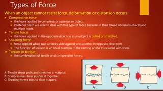 Chapter 2: Oral Environment | PPTX