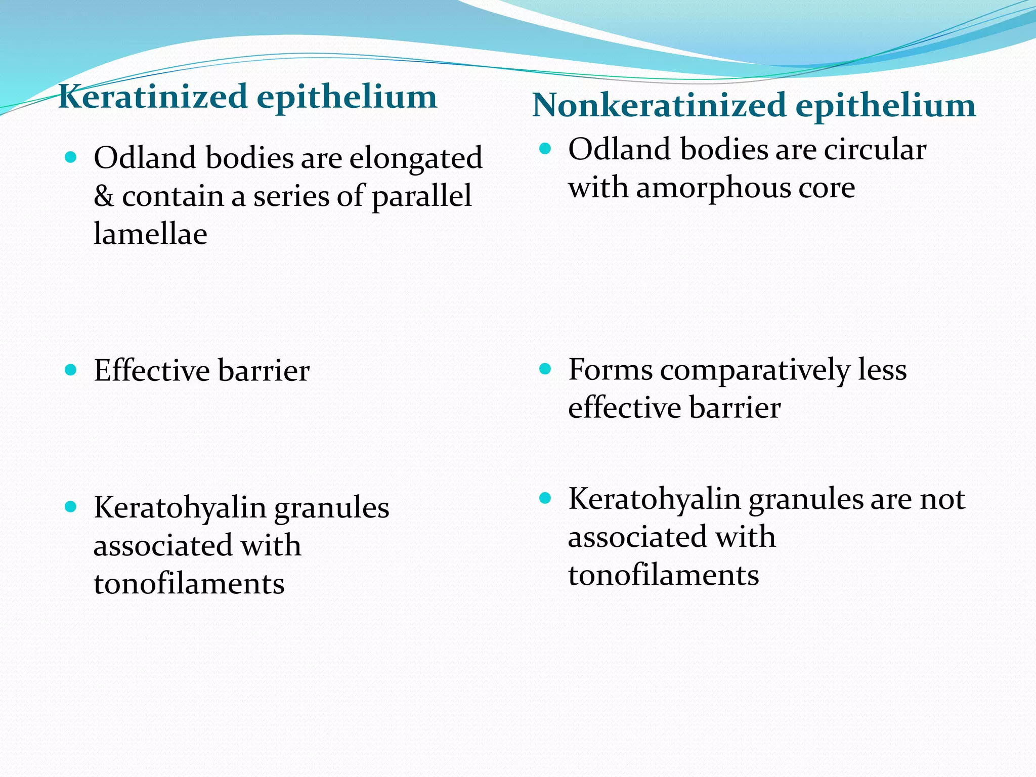 Oral epithelium | PPTX