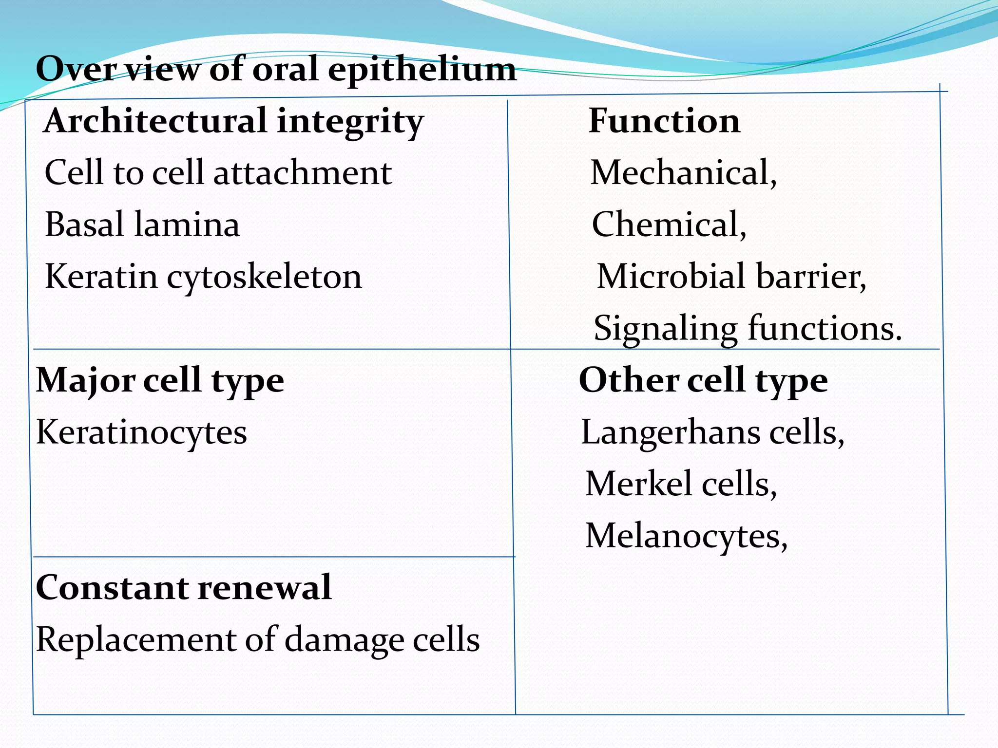 Oral epithelium | PPTX