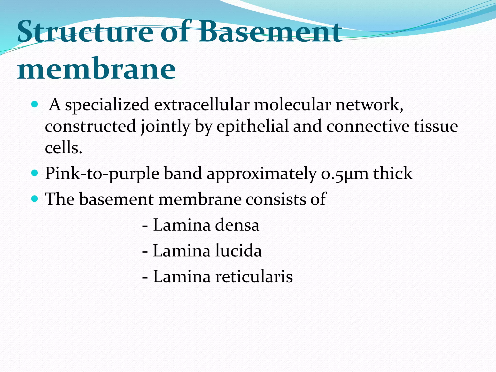Oral epithelium | PPTX