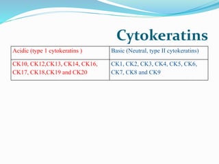Oral epithelium | PPTX