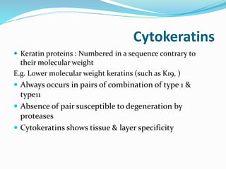 Oral epithelium | PPTX