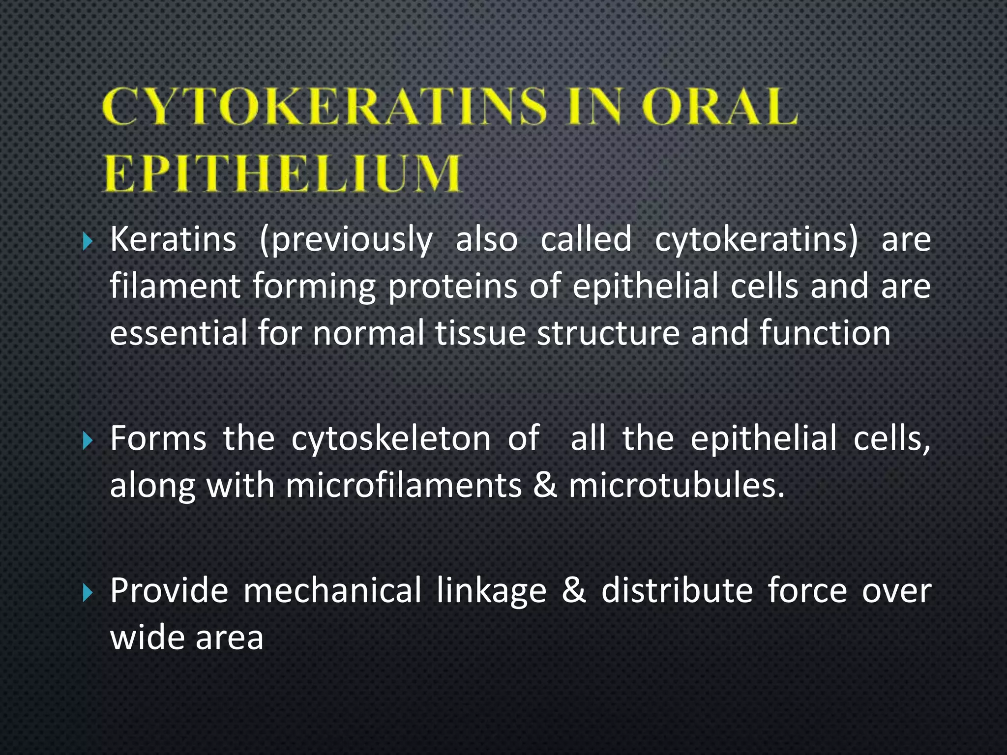 Oral epithelium , dr naveen reddy | PPTX