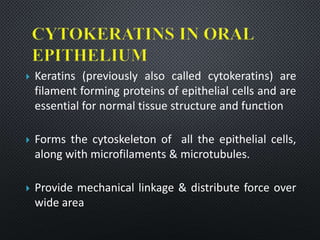 Oral epithelium , dr naveen reddy | PPTX